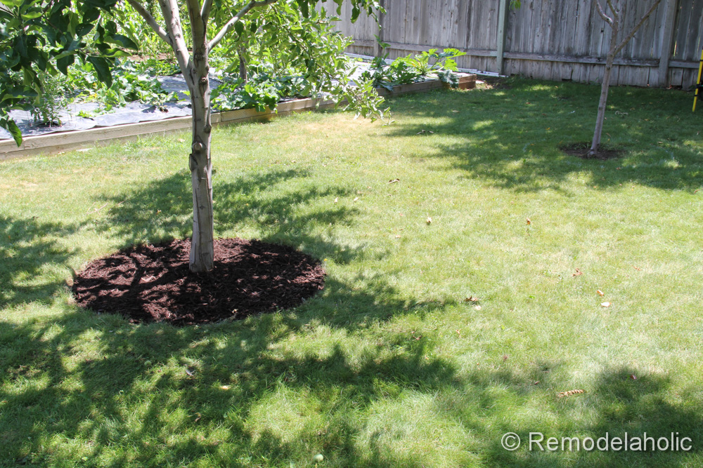 Bark Mulch Weed Control for Around Trees