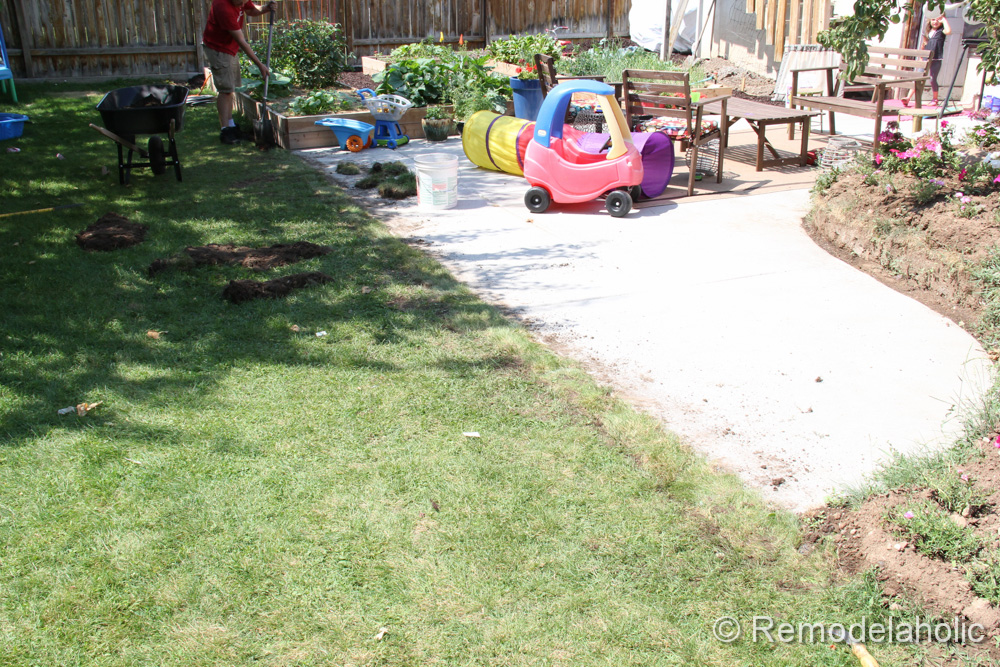 Bark Mulch Weed Control for Around Trees