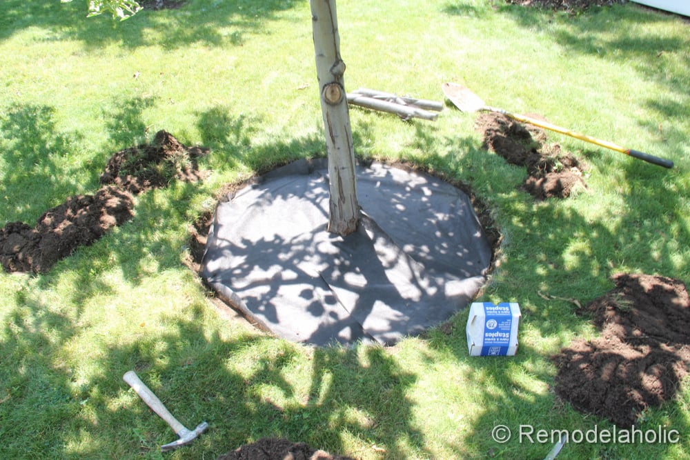 Bark Mulch Weed Control for Around Trees