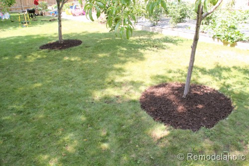 Bark Mulch Weed Control for Around Trees
