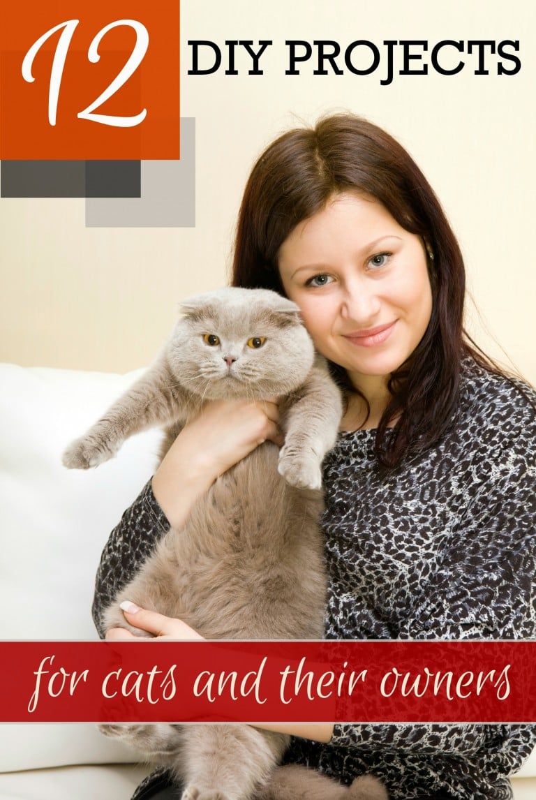 12 DIY Projects for Cats and Their Owners | Remodelaholic
