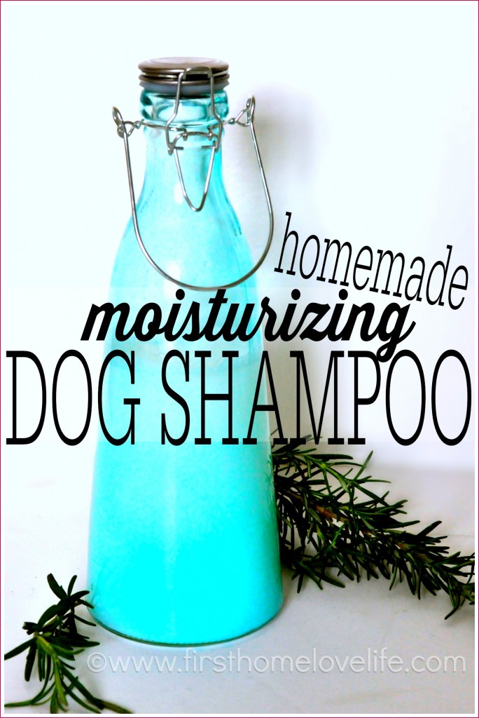 14 DIY Projects for Dog Owners | Remodelaholic