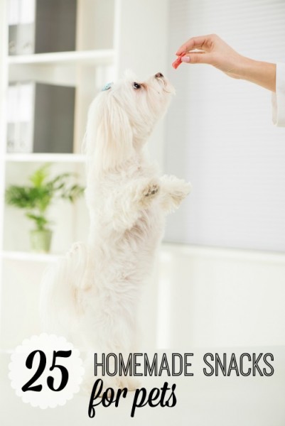 25 Homemade Snacks for Pets | Remodelaholic