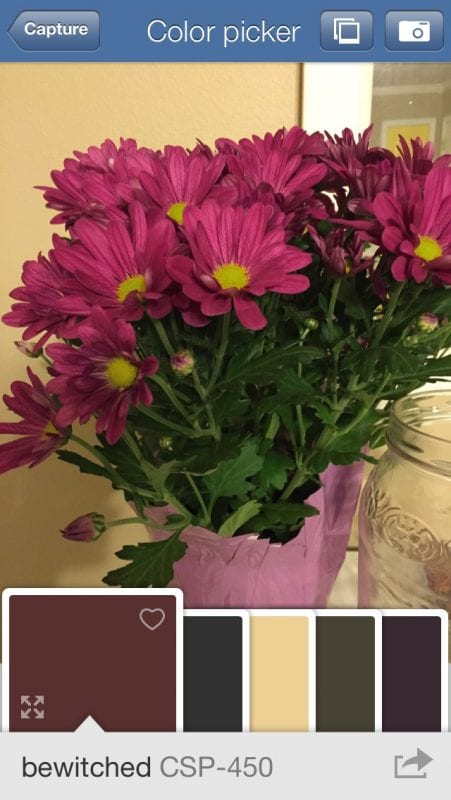 Apps to Match and Find Paint Color Palettes from a Photo | Remodelaholic