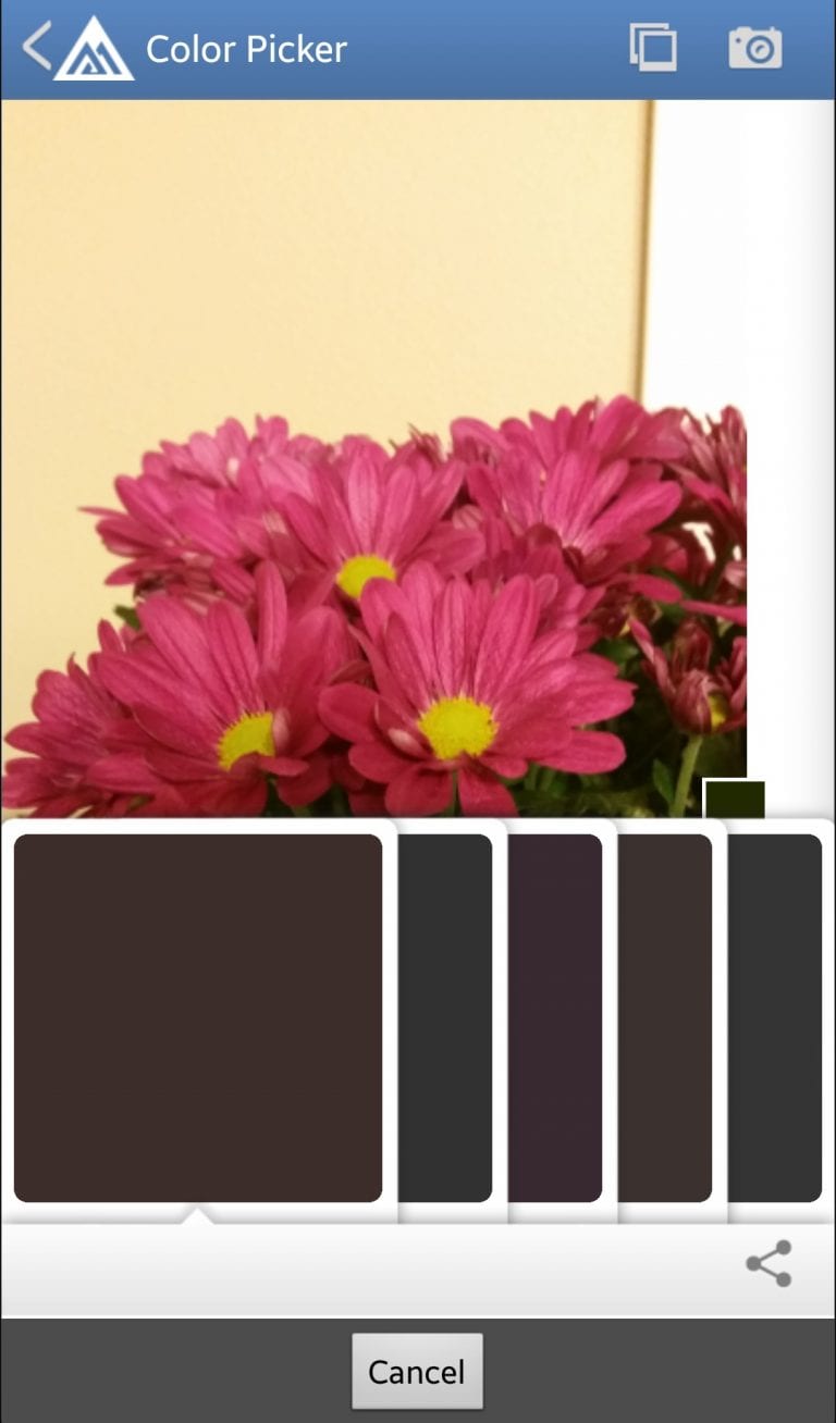 Apps to Match and Find Paint Color Palettes from a Photo | Remodelaholic