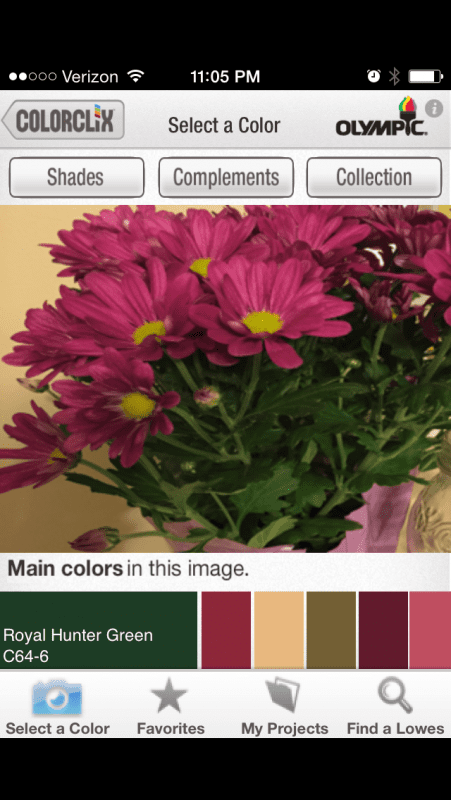 Apps to Match and Find Paint Color Palettes from a Photo | Remodelaholic