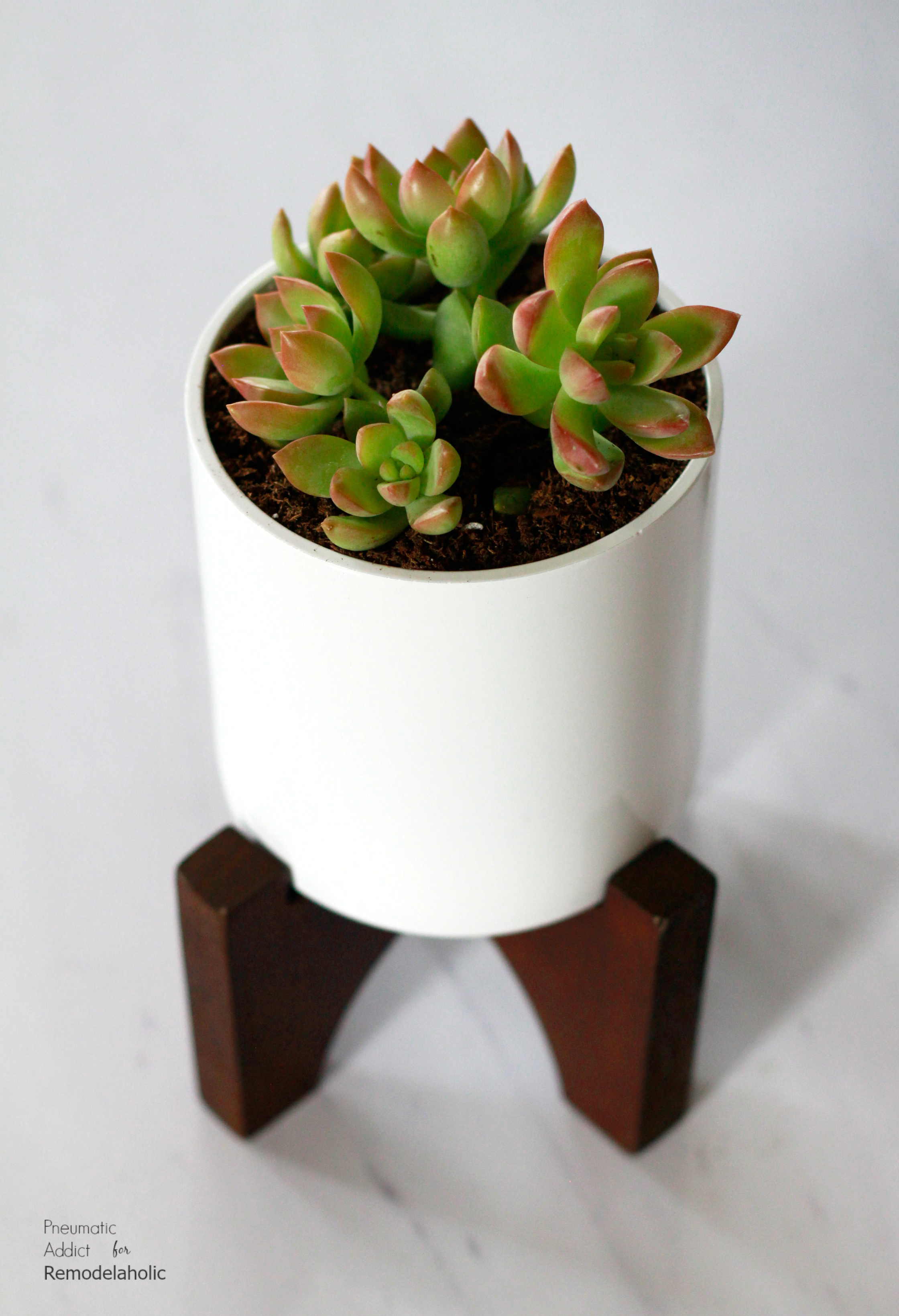 How to Build Modern Tabletop Planters | Remodelaholic