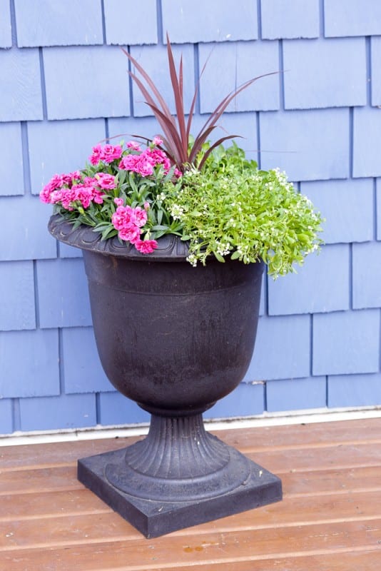 How To Create Beautiful Outdoor Pots and Planters | Remodelaholic