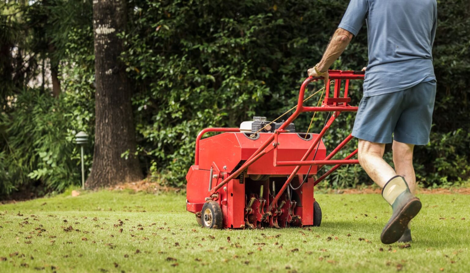 Lawn Maintenance Tips for a Beautiful Yard | Remodelaholic