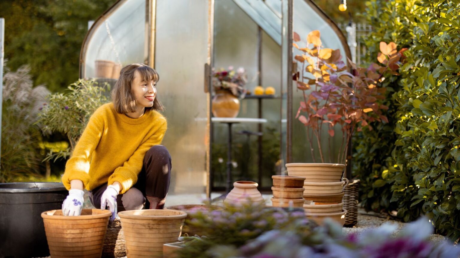 Bye-Bye Mosquitoes: Hacks for a Bite-Free Backyard! | Remodelaholic
