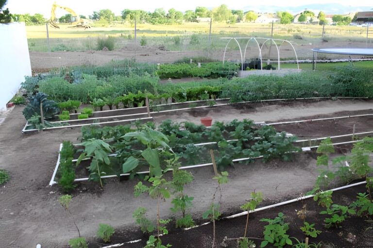 Gardening Ideas: 6 Easy DIY Automatic Plant Watering Systems ...